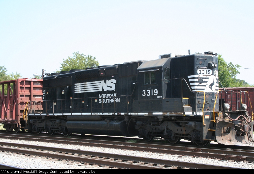 NS 3319 tied down for lunch